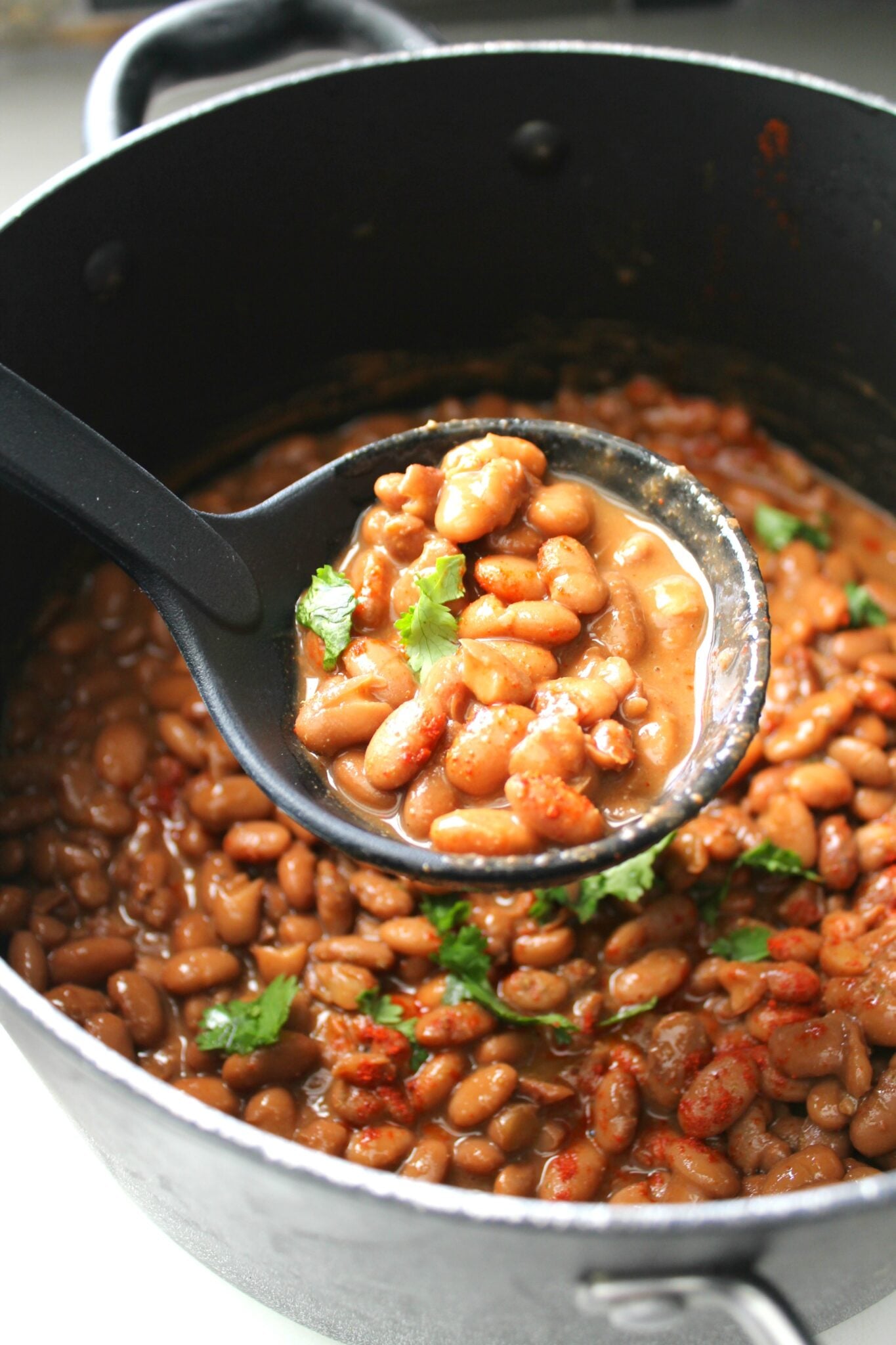 Mexican Pinto Beans - This Savory Vegan